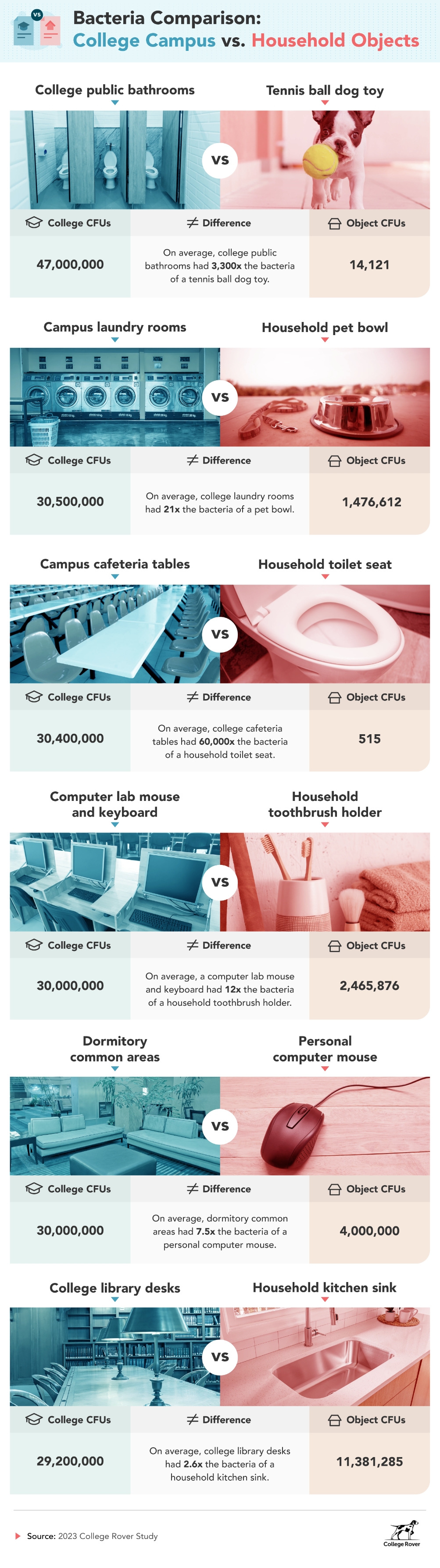 Campus Crawlers: Bacteria Score Perfect Attendance in Microbial Academy ...